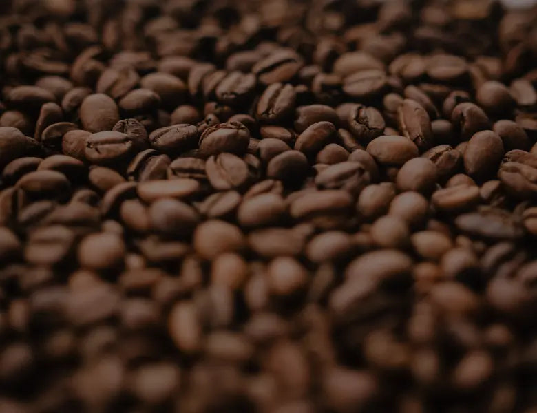 Blue Hummingbird Coffee Collection