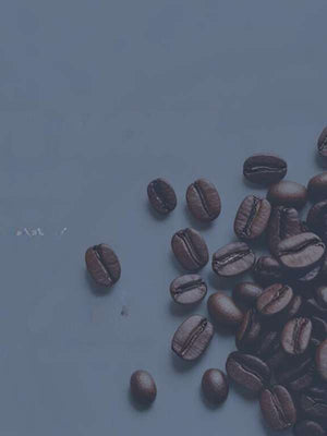 Blue Hummingbird Coffee